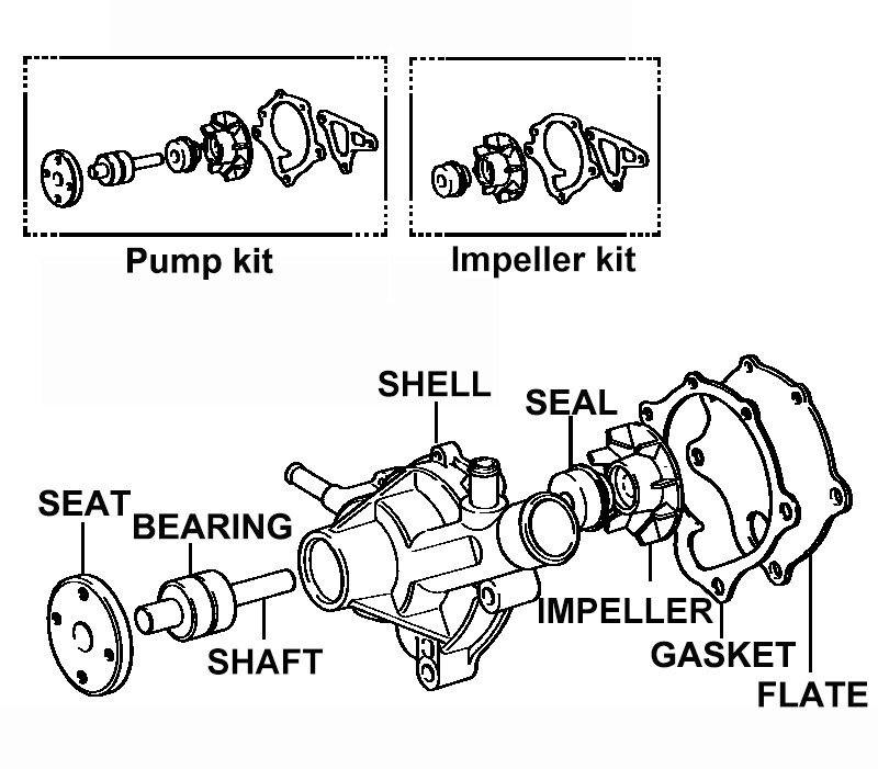 Automotive Engine Water Pump Guide – Autoround